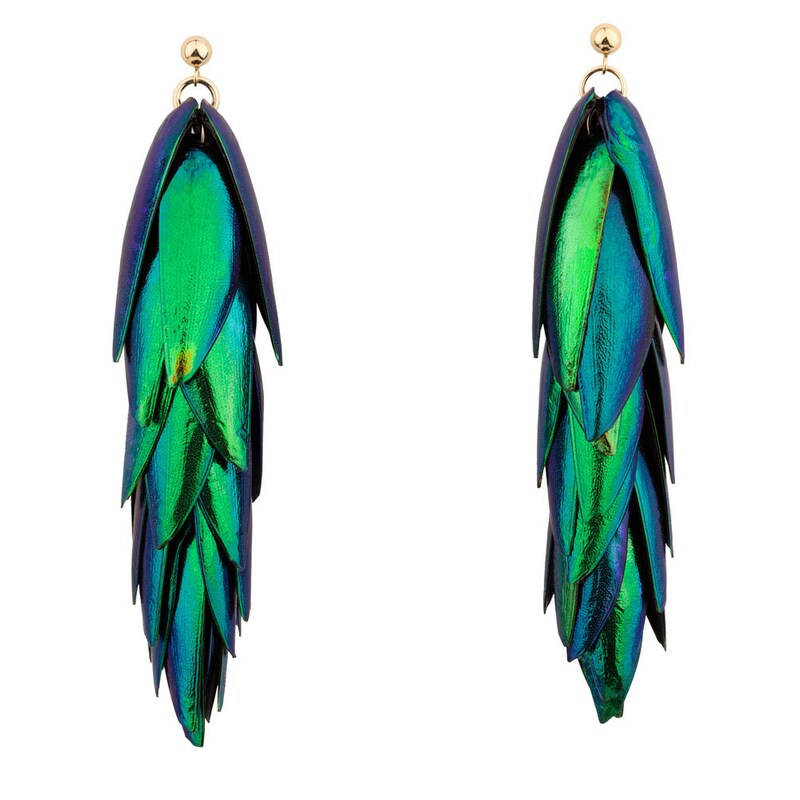 Beetle Wings - Etsy