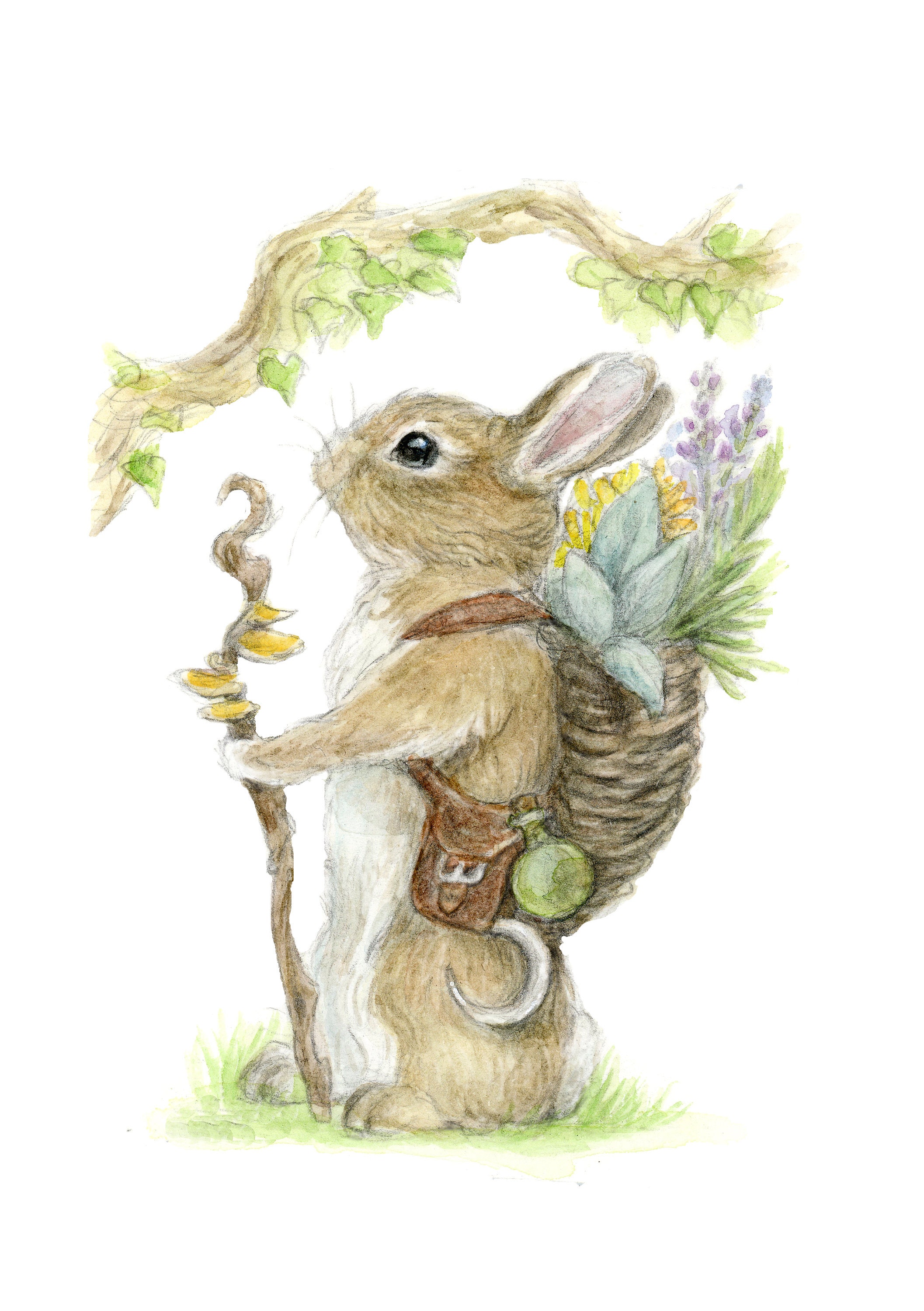 Woodland Characters Set of 4 A5 Art Print - Etsy UK