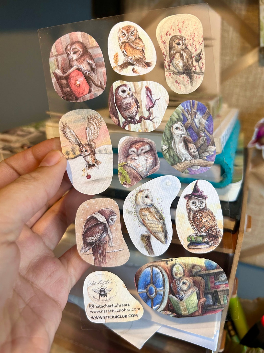 Owl Sticker Sheet - Etsy