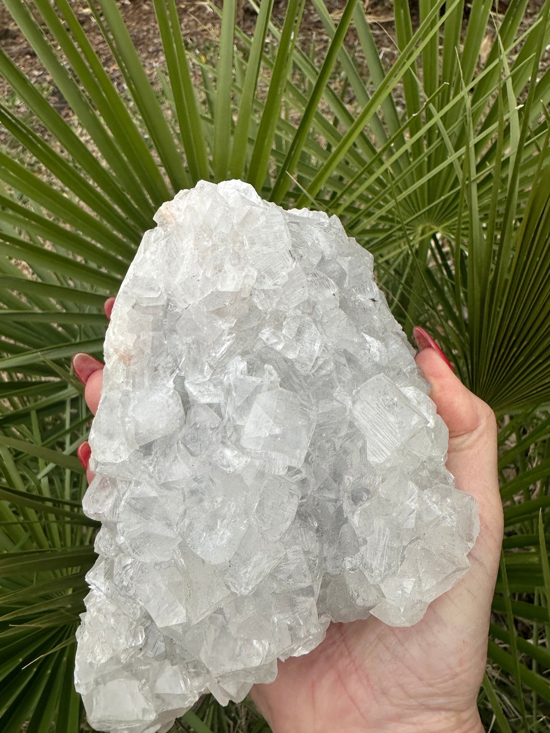 Clear Apophyllite Cluster Crystal, Clear Apophyllite, Zeolite, Crown ...