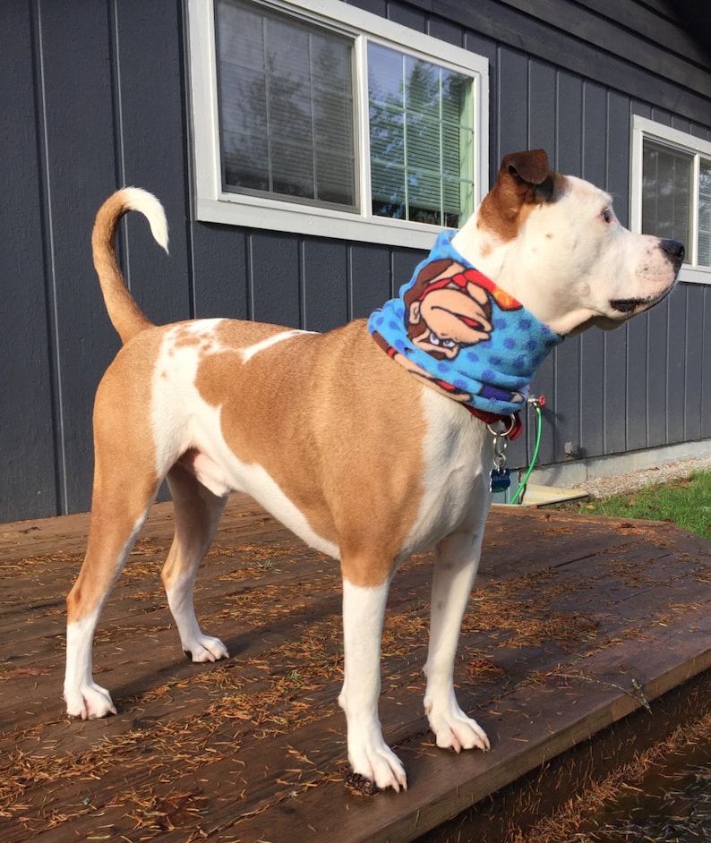 Fleece Dog Snood Design - Etsy