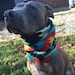 Fleece Dog Snood- Design - Etsy