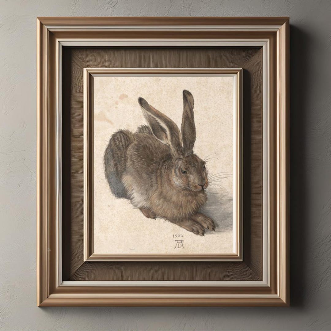 Young Hare Albrecht Dürer Art Print, Vintage Rabbit Illustration ...