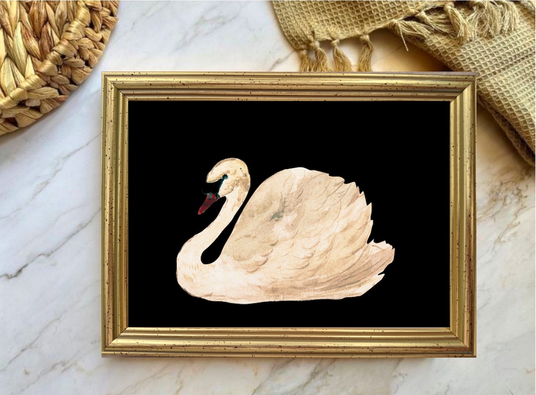 Framed Swan Wall Art, Black Lake Swan Print, Gold Frame Vintage Black ...