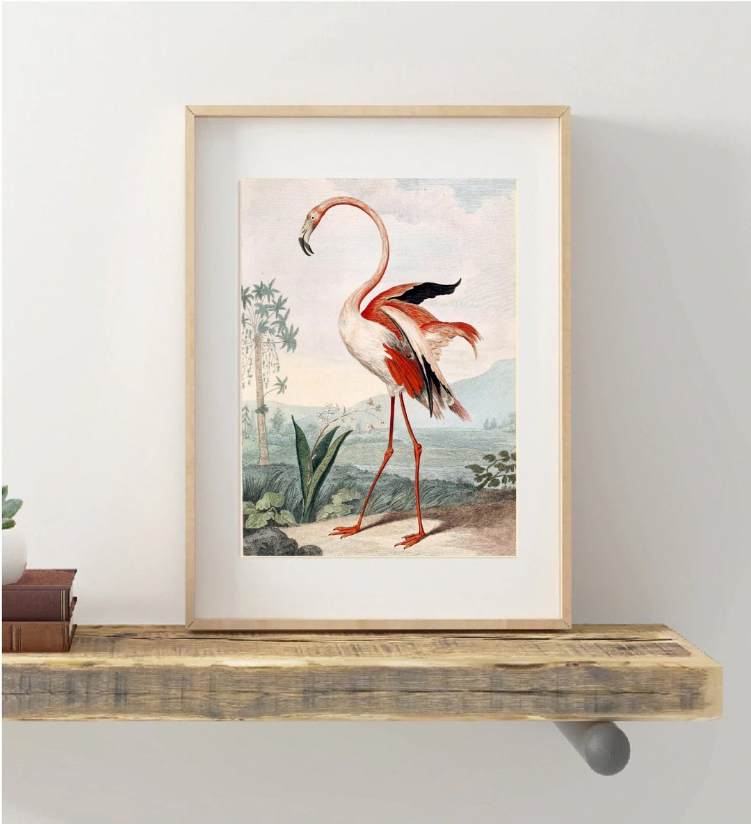 Flamingo Poster, Flamingo Illustration, Vintage Wall Art, Antique ...