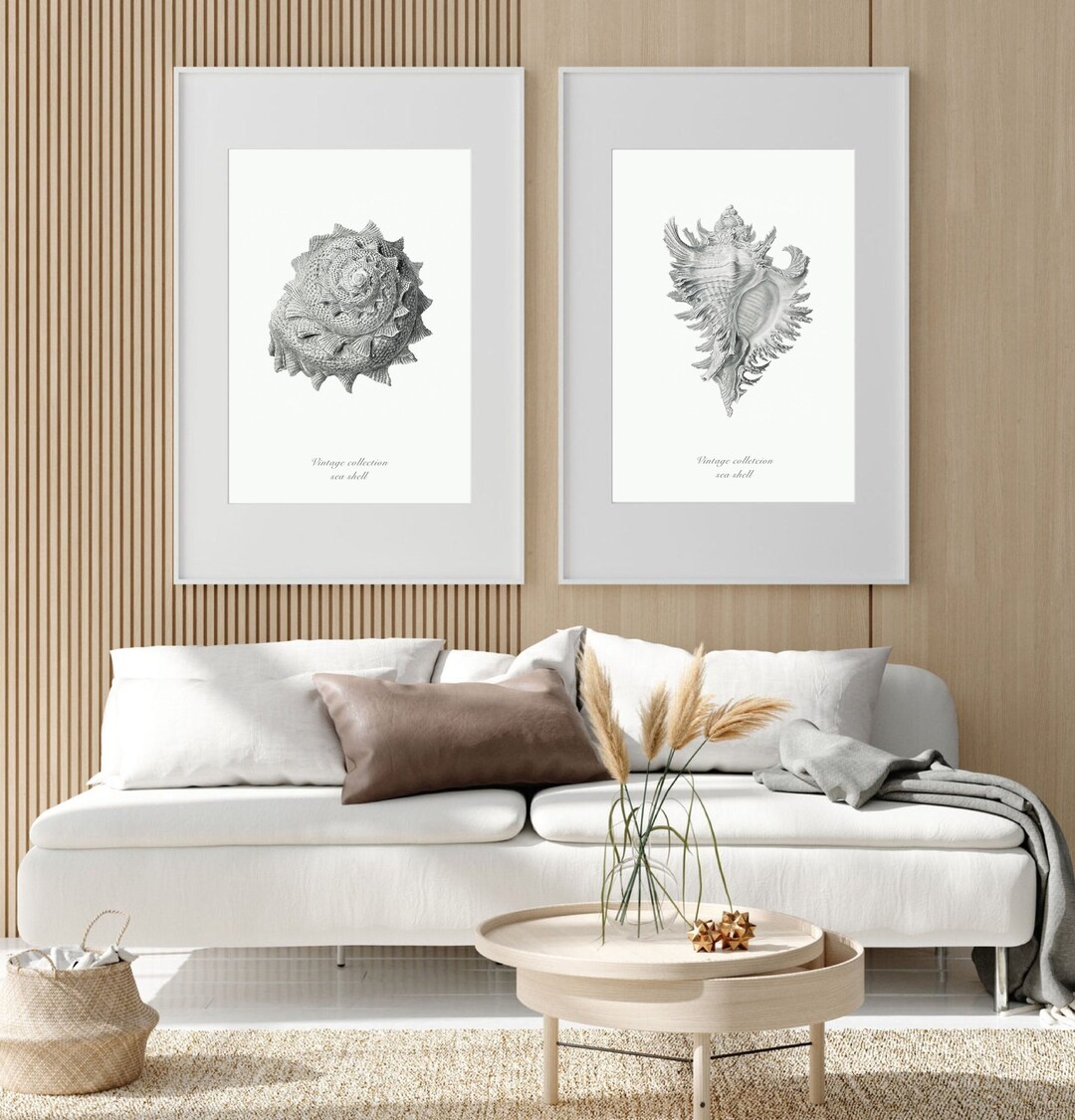 2 Shells Drawings, Vintage Botanical Wall Art, Shell Art Wall, Coastal ...