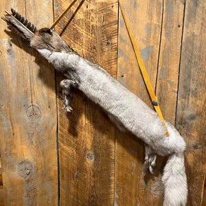 Blue Fox Arrow Quiver - Etsy