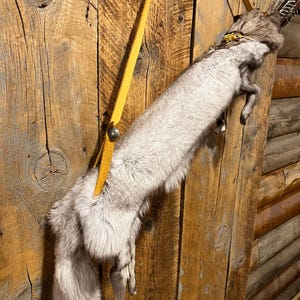 Blue Fox Arrow Quiver - Etsy