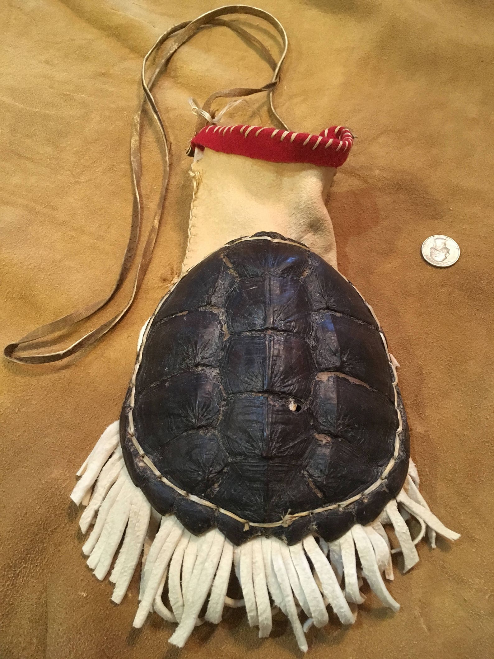 Turtle shell bag | Etsy