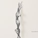 Pod Wire Sculpture With Dried White Eucalyptus Fruits. - Etsy