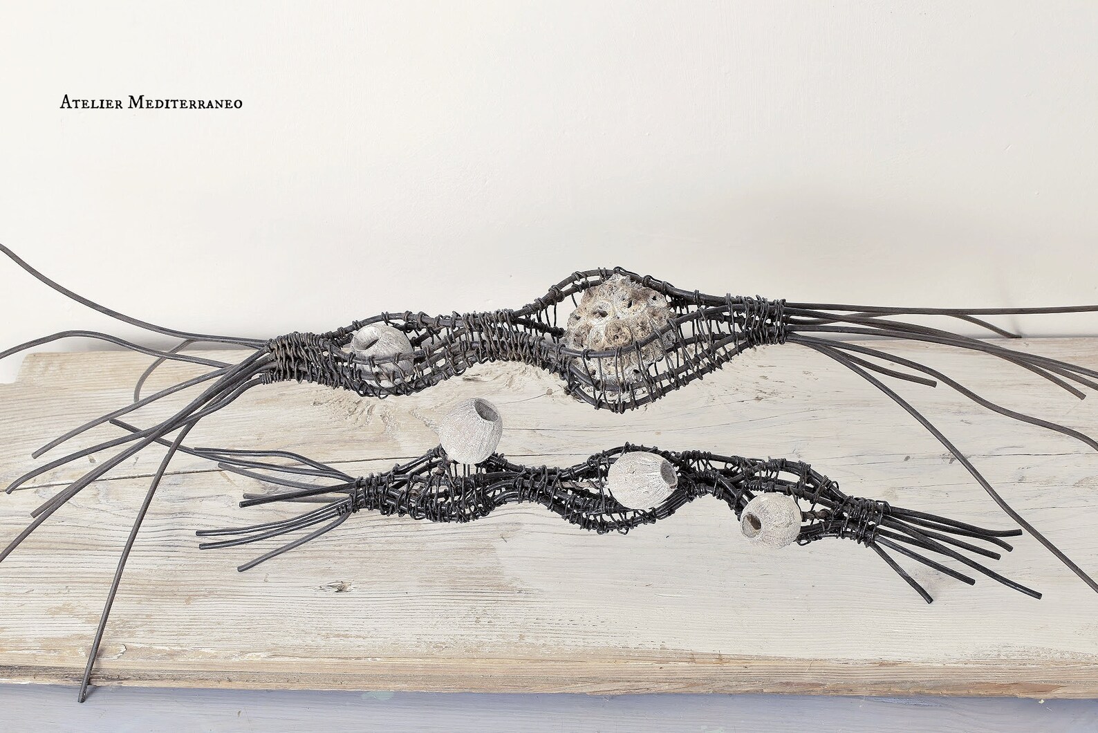 Pod Wire Sculpture With Two Types of Dried Eucalyptus Fruits. - Etsy