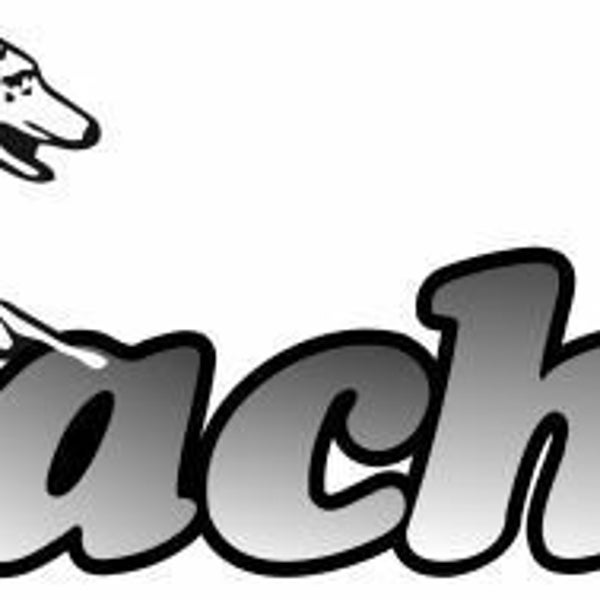 Coachmen Rv Decal - Etsy