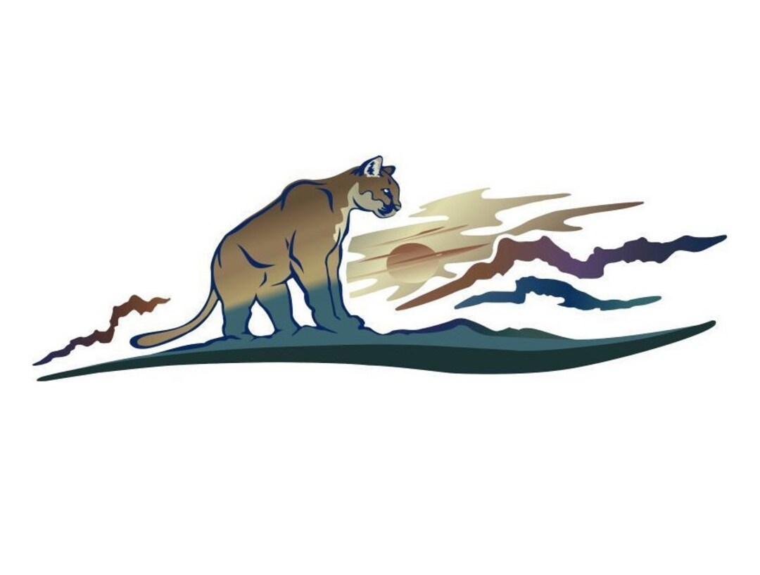 1 RV Tralier Motorcoach Keystone Cougar Graphic Decal -1086-2 - Etsy