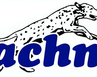 Coachmen Decal - Etsy