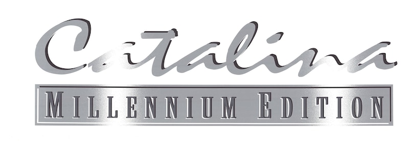 1 RV Camper Coachmen Catalina Lite LOGO Graphic Decal-2073 - Etsy