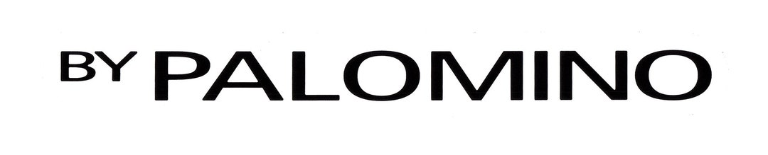 1 RV Trailer Camper Forest River Palomino Puma Logo Decal Graphic -H ...