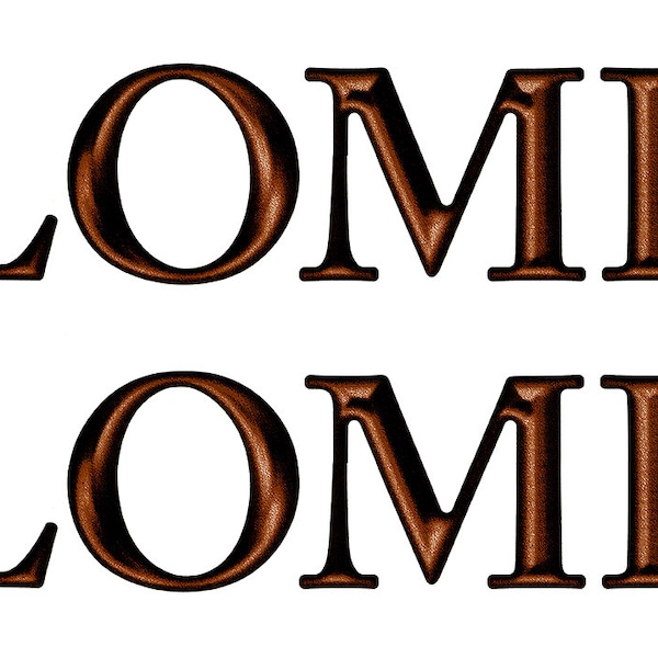 Forest River Rv Decals - Etsy