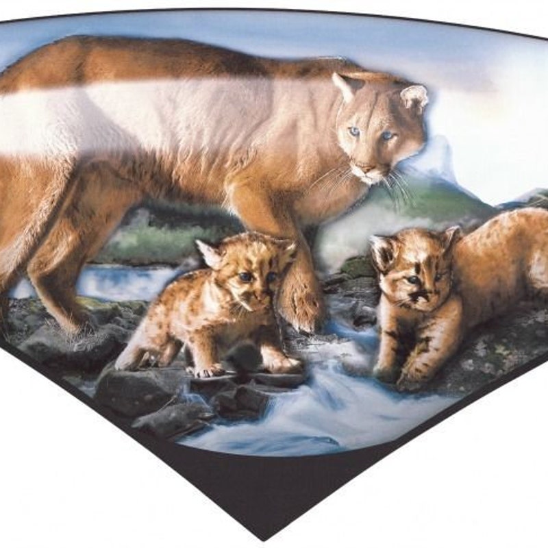 Puma Rv Decal - Etsy