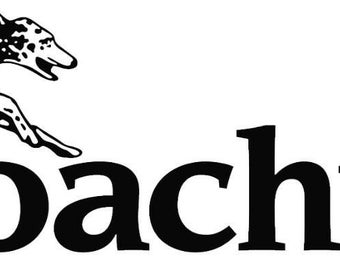 1 RV Camper Trailer Coachmen Logo Decal Graphic 9462 - Etsy