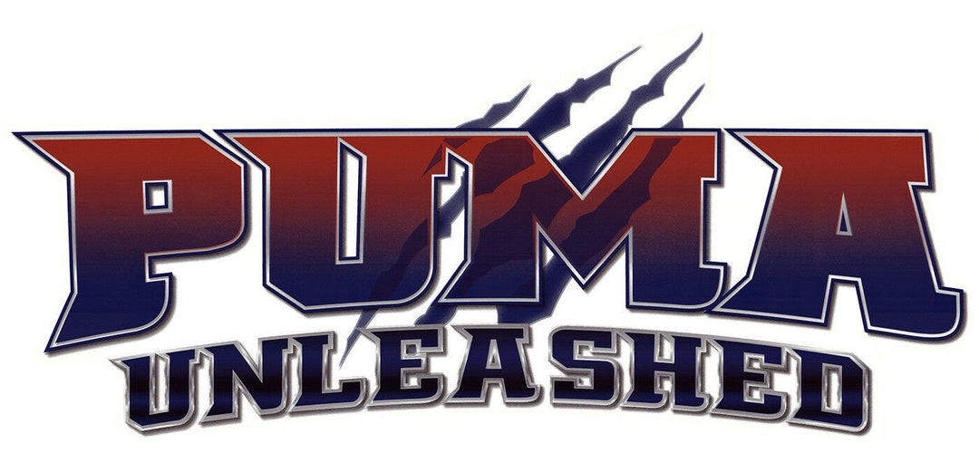 1 RV Trailer Camper Puma Unleashed Decal Graphic -2025 - Etsy
