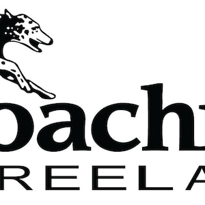 1 Rv Camper Trailer COACHMEN Freelander Logo Graphic Decal- 76-4-2 - Etsy