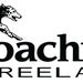 1 Rv Camper Trailer COACHMEN Freelander Logo Graphic Decal- 76-4-2 - Etsy