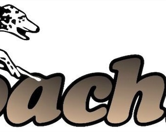 1 RV Camper Trailer Coachmen Logo Decal Graphic 9462 | Etsy