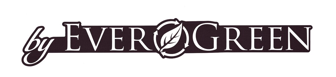 1 RV Camper Evergreen Ever Lite Logo Decal Graphic-2952 - Etsy