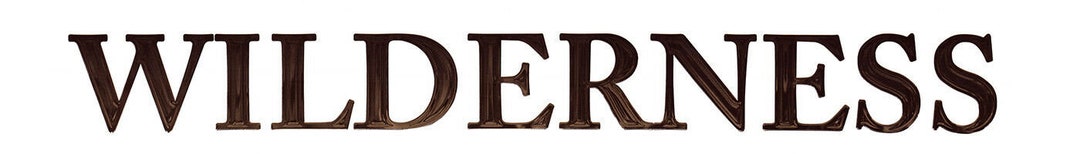 1 RV Trailer Wilderness Logo Decal Graphic-2020 - Etsy