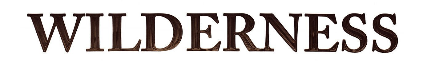 1 RV Trailer Wilderness Logo Decal Graphic-2020 - Etsy