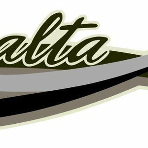 1 RV Winnebago Rialta Graphic Decal -835 - Etsy