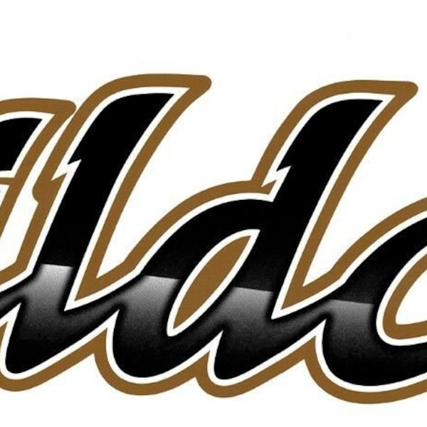 Forest River Rv Decals - Etsy