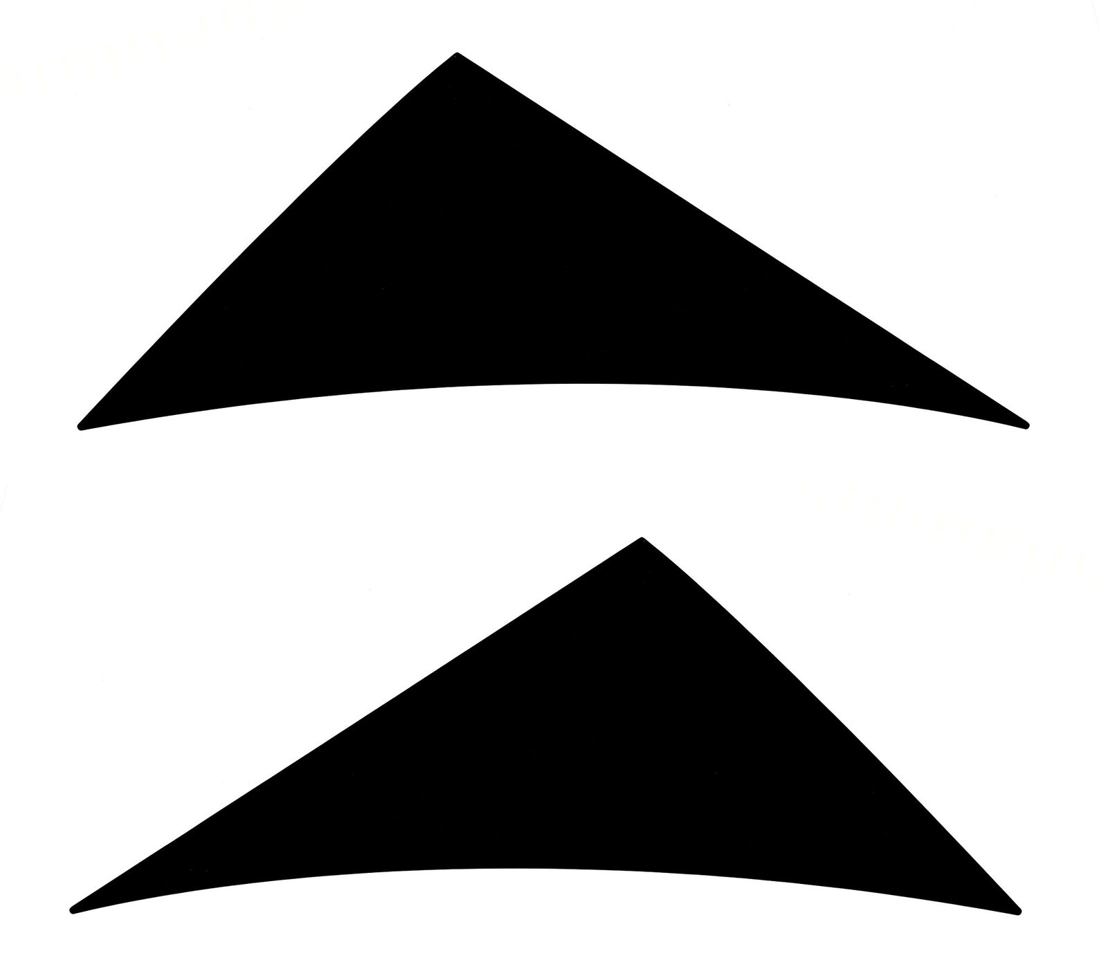 2 RV Trailer Camper Forest River Wolfpack Vengeance Graphics Decals ...