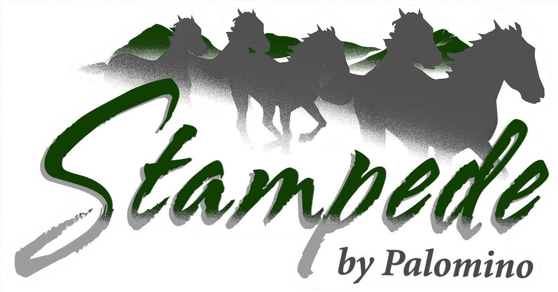 1 RV Stampede by Palomino Logo Graphic Decal 46-4 - Etsy