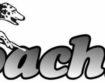 Coachmen Rv Decal - Etsy