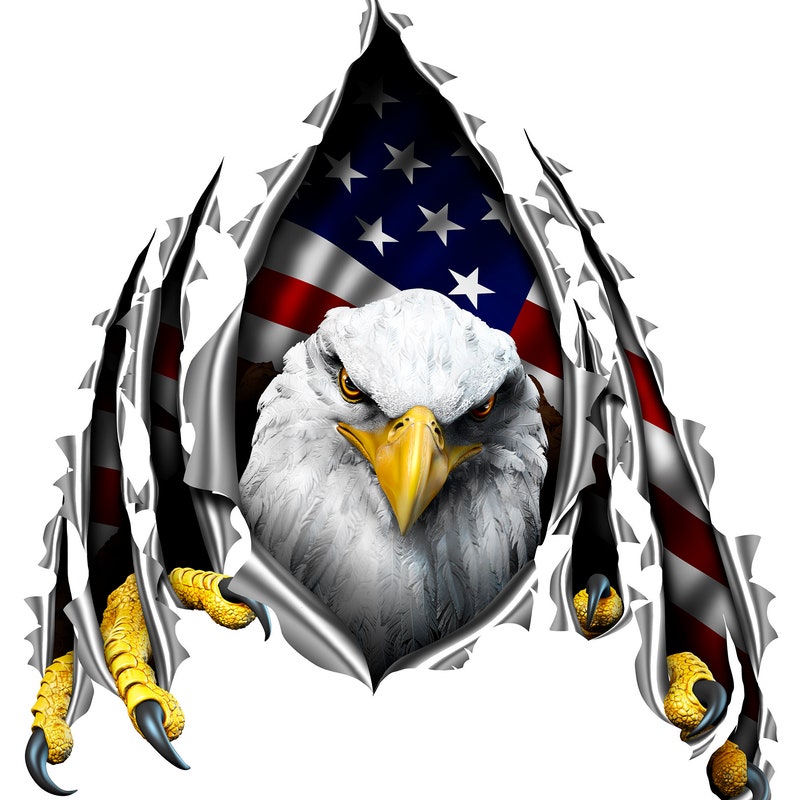 Eagle Decals - Etsy