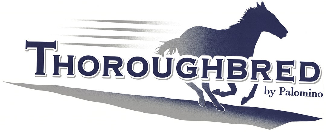 1 RV Thoroughbred by Palomino Logo Graphic Decal -1064 - Etsy