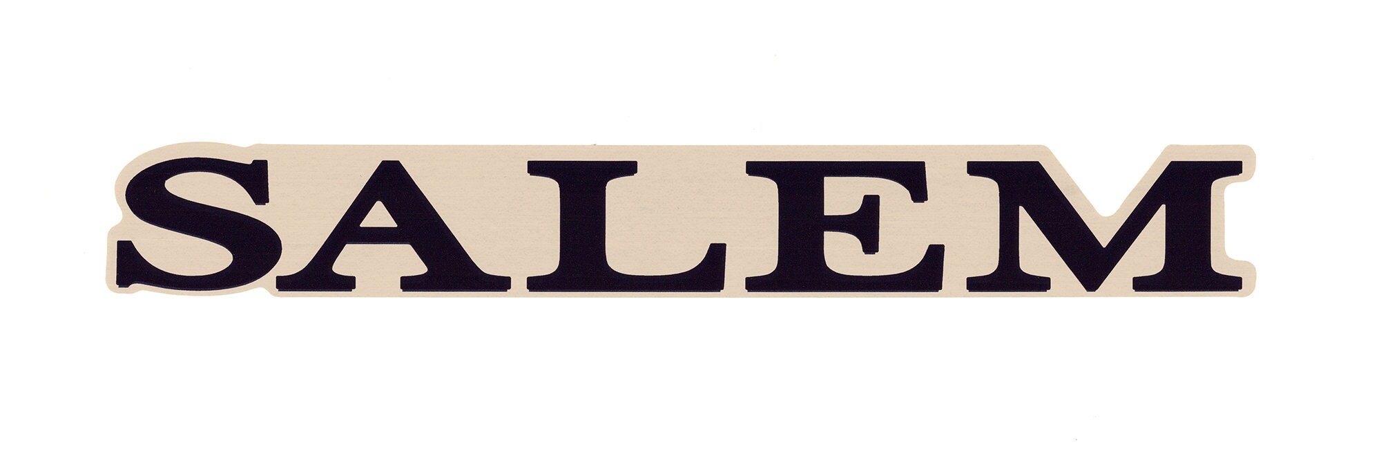 1 RV Trailer Camper Forest River Salem Logo Decal Graphic H-31 - Etsy