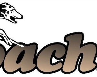 Coachmen Rv Decal - Etsy