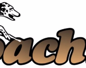 1 Rv Trailer Camper Coleman Logo Graphic Decal 902-5 - Etsy