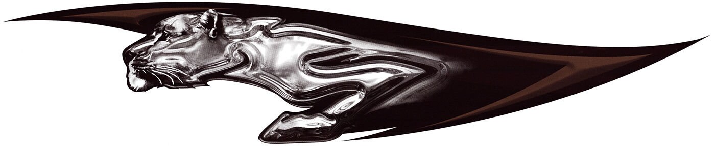 1 Rv Trailer MOTORCOACH KEYSTONE COUGAR Graphic Decal 722-2 | Etsy