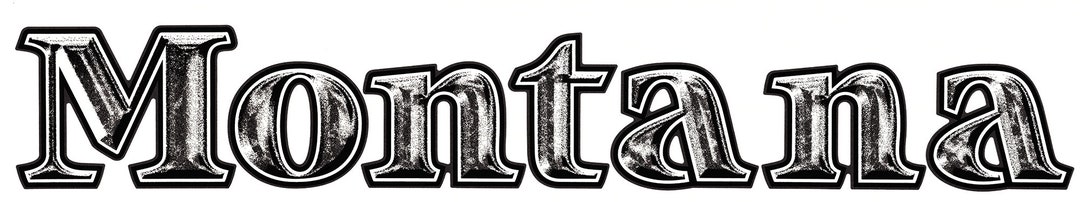 1 RV Trailer Motorcoach Keystone Montana Graphics Decals -1142 - Etsy