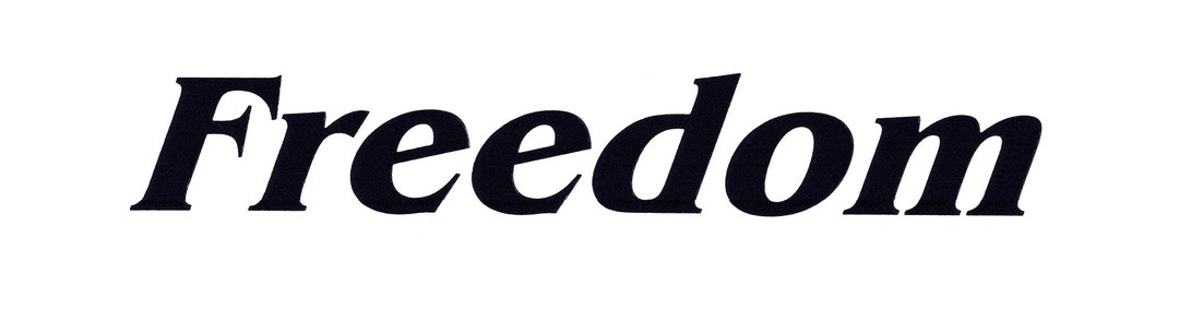 1 RV Trailer Camper by Forest River Freedom Logo Decal Graphic -H-67 - Etsy