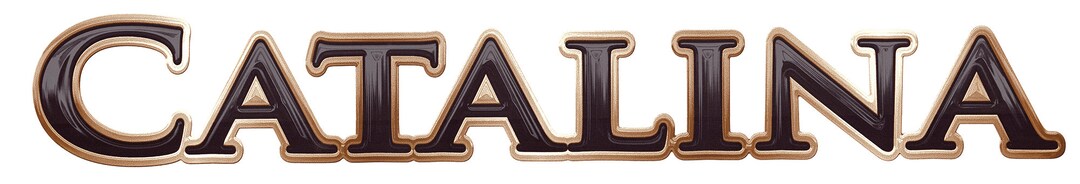 1 RV Camper Catalina Logo Decal Graphic-2021 - Etsy