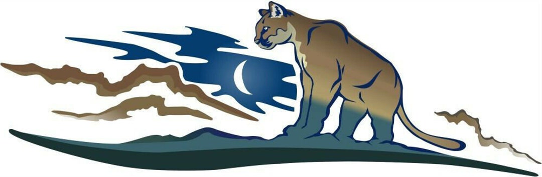 1 RV Trailer Keystone Cougar Decal Graphic -65-2 - Etsy