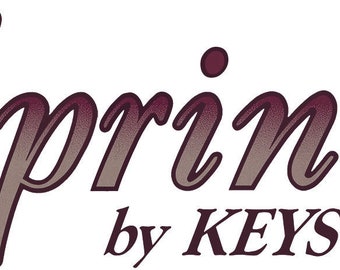 Sprinter Decal - Etsy