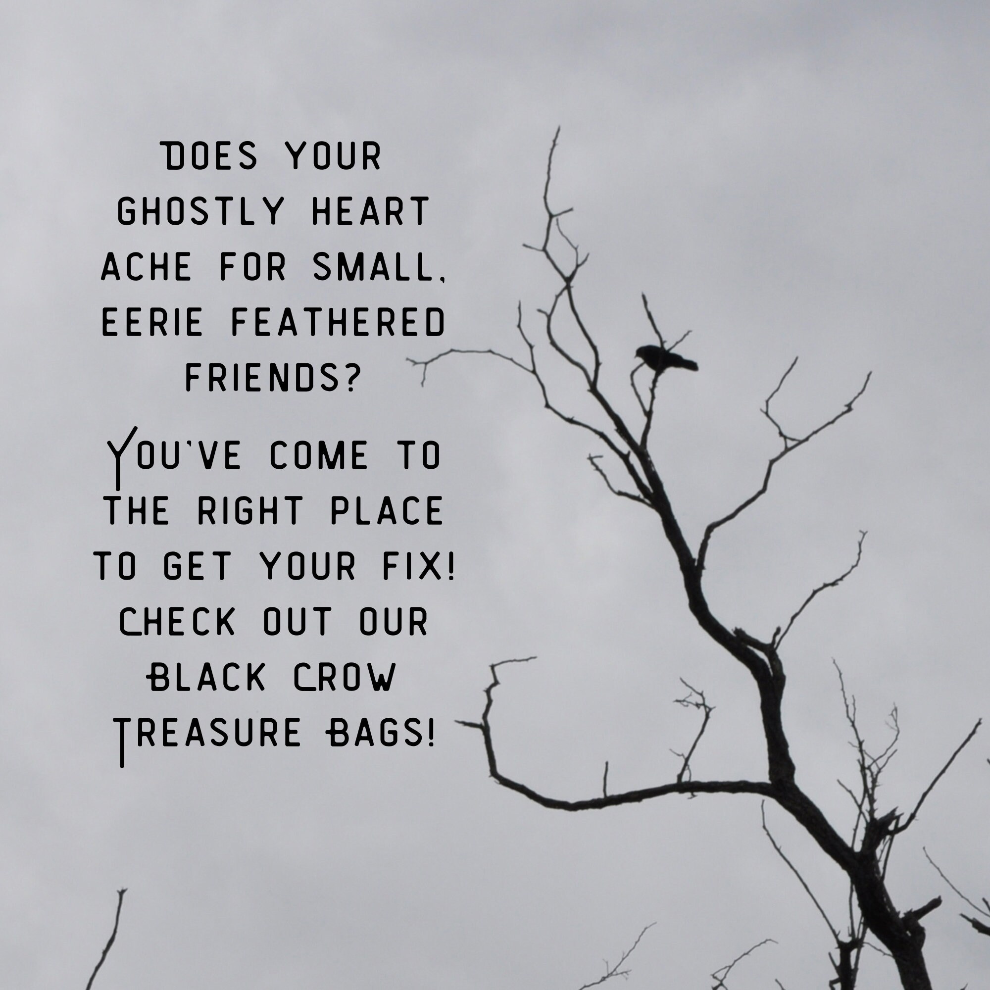 Black Crow Treasure Scoop Trinket Scoop Witchy Confetti - Etsy