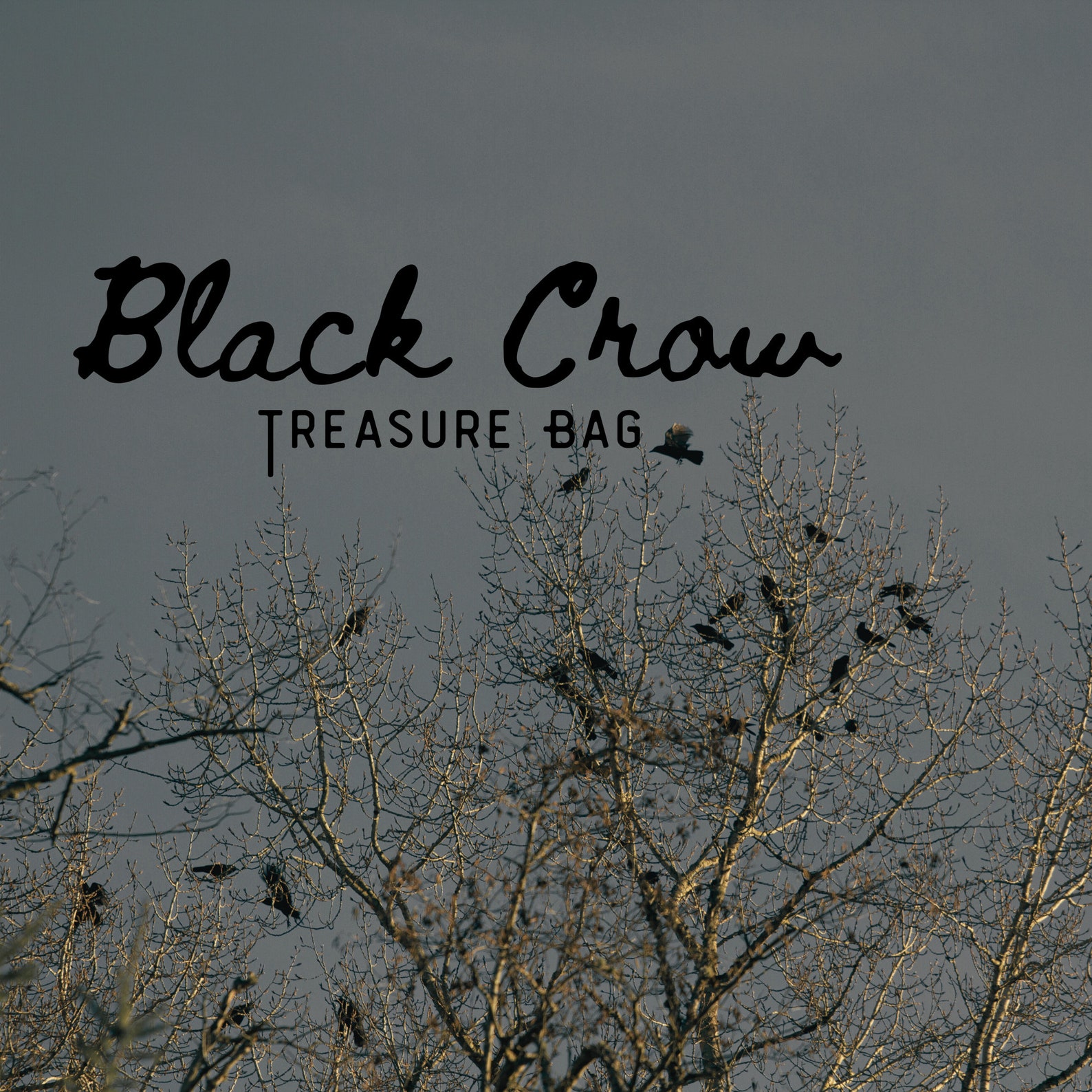 Black Crow Treasure Scoop Trinket Scoop Witchy Confetti - Etsy