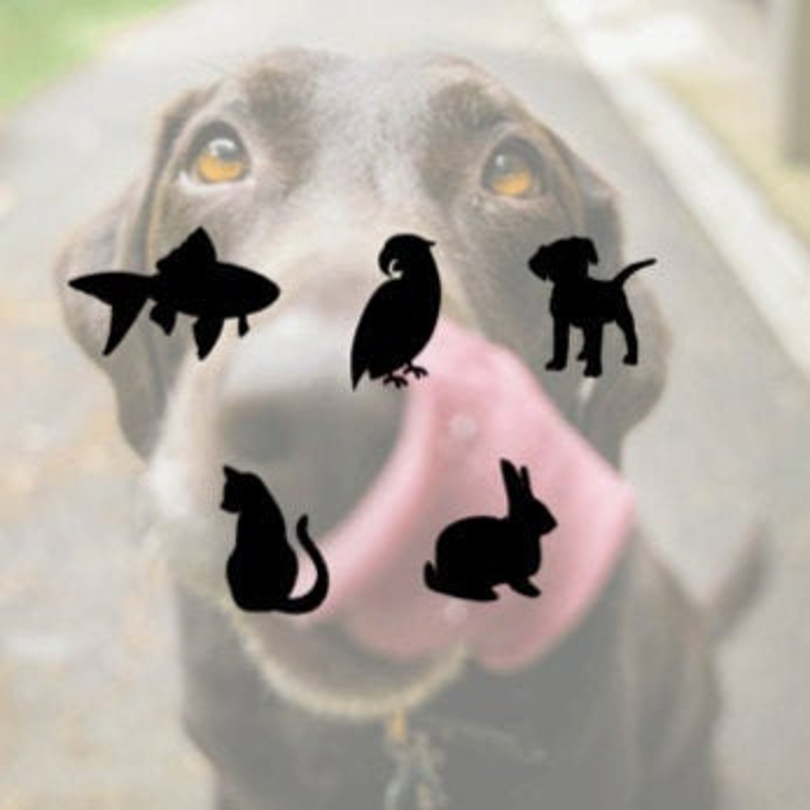 In Case of Emergency Pet Decal Save My Pets Decal Emergency - Etsy