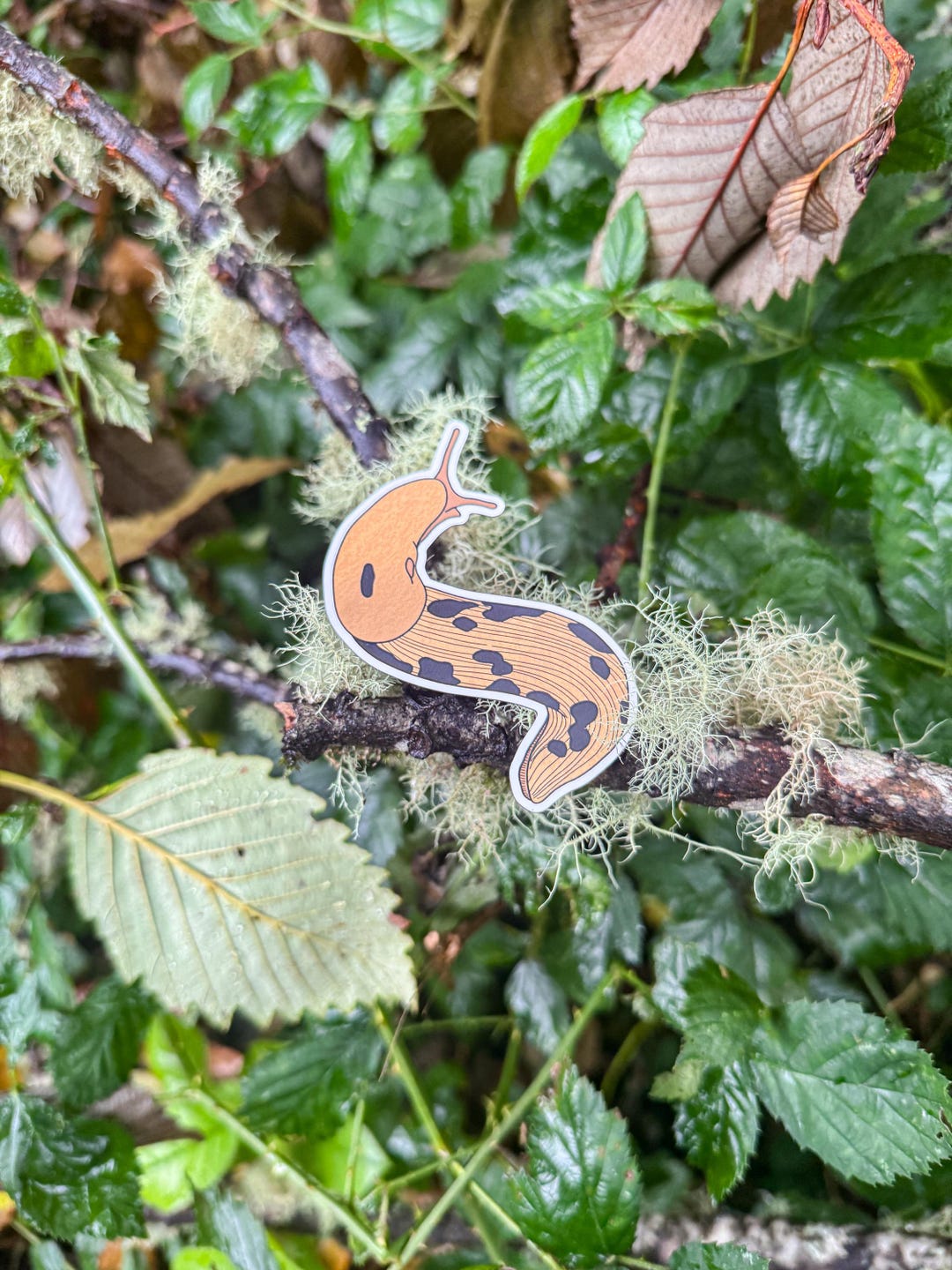 Banana Slug Magnet, Slug Magnet Banana Slug Lover, Realistic Banana ...